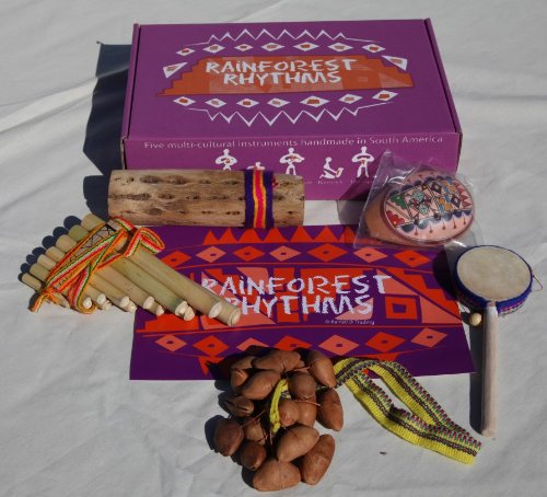 Rainforest Rhythms - Fun instrument pack : Amazon.co.uk: Everything Else
