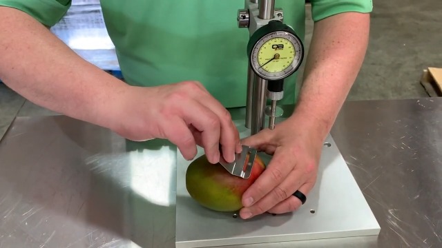 Watch How to properly measure mango firmness using FT 327 Handh on ...