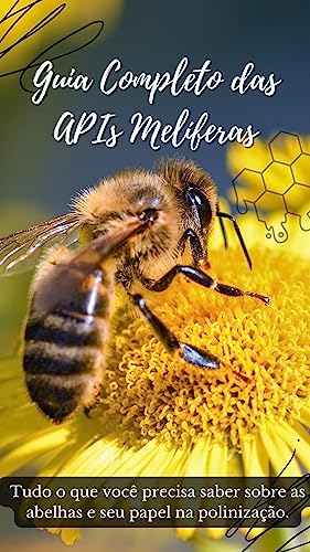 Guia Completo das APIs Melíferas: Tudo o que você precisa saber sobre ...