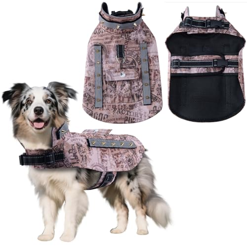Dog Spike Vest – The 15 best products compared - Wild Explained