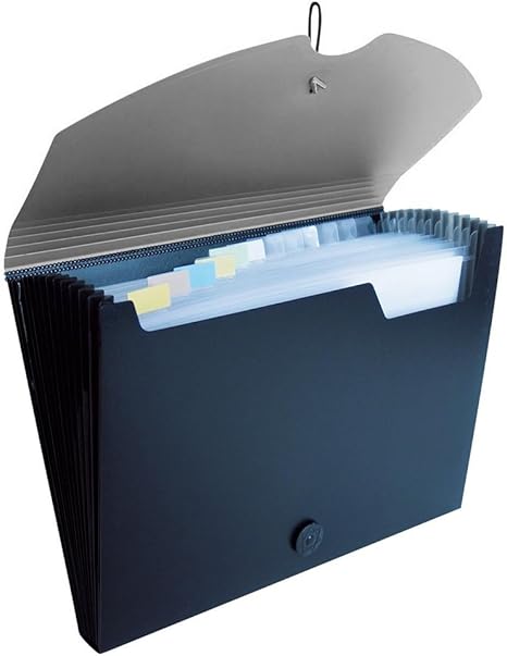 Idena 10078 - Fächermappe DIN A4, PP, 12 Fächer, grau/schwarz, 1 Stück : Amazon.de: Bürobedarf ...