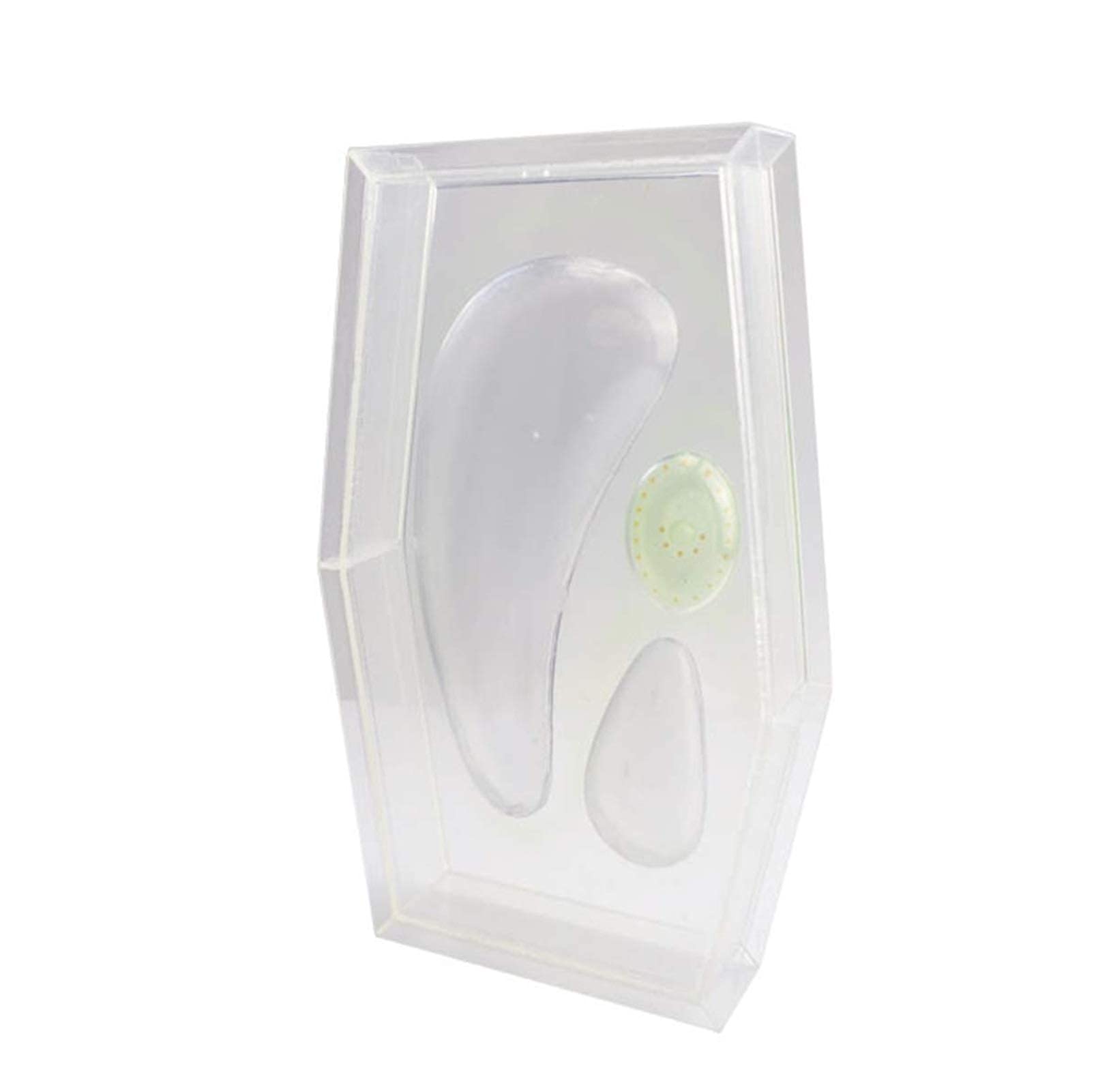 Buy Study Model Biological Cell Model - Anatomical Cell Structure Model ...