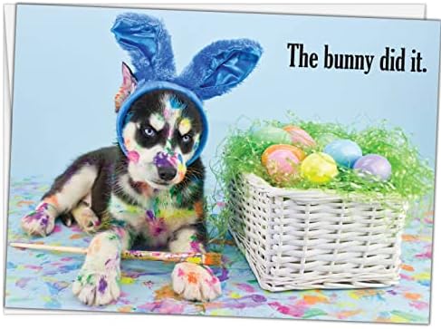 Amazon.com : Glory To Dog The Bunny Did It Happy Easter Greeting Card ...