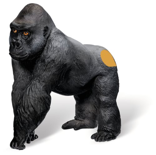 Tiptoi Puzzle Zoo Affen Lösung – Die 15 besten Produkte im Vergleich ...