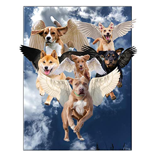 Flock of Dogs de Landon Drake en Amazon Music Unlimited