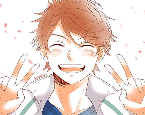 Anime Haikyu Haiky C5 Ab 12(Anime Manga Series) Poster Matte Finish ...