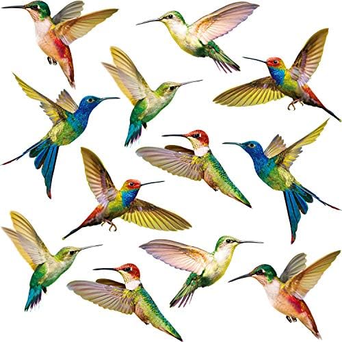 Amazon.com: 20 Pieces Large Size Hummingbird Window Hummingbird Decals ...