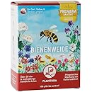 Kornblumen pflanzen: Tipps zu Standort, Pflege und Vermehrung