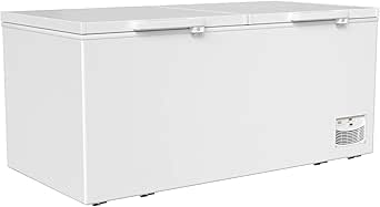 Amazon.com: CF30HC Commercial Chest Freezer - 30 cu. ft. : Industrial ...