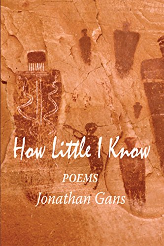 How Little I Know - Kindle edition by Gans, Jonathan. Literature ...