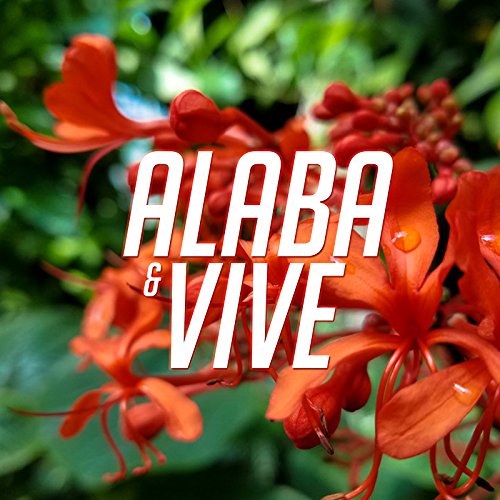 Reproducir Alaba & Vive de Alabanzas Al Rey en Amazon Music