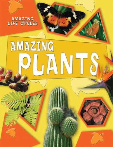 Amazing Plants (Amazing Life Cycles): Head, Honor: 9780836888973 ...