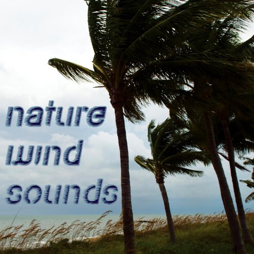 Amazon.com: Nature Wind Sounds : Relaxation Moods: Digital Music