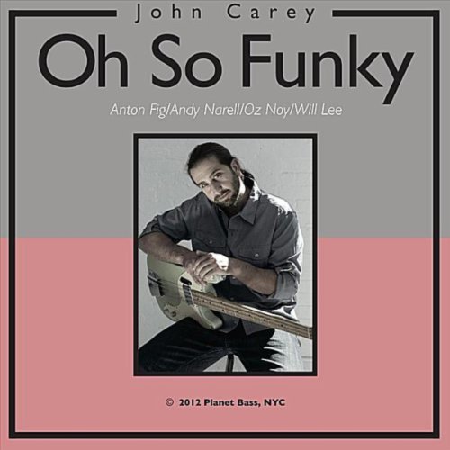 Amazon.com: Oh So Funky (feat. Anton Fig, Andy Narell, Oz Noy & Will ...