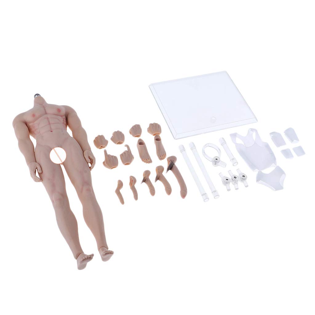 Sharprepublic 1 6 Scale Super Flexible Muscular Male Body Figure ...