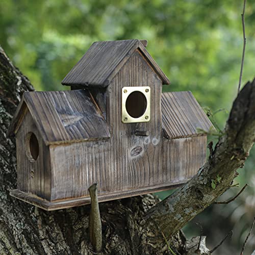 Snapklik.com : 6-Piece Metal Bluebird House Predator GuardMetal ...