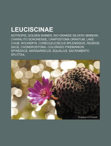 Amazon.co.jp: Leuciscinae: Notropis, Golden Shiner, Rio Grande Silvery ...