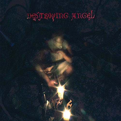 Amazon.com: Conversations With Their Holy Guardian Angels : Destroying ...