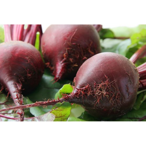 Amazon.com: Large Red Beets - Avg 10 Lb Case : Grocery & Gourmet Food