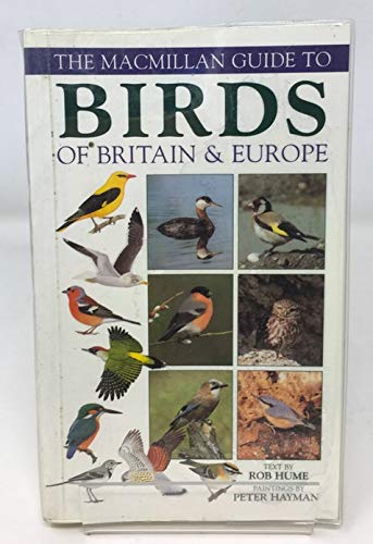 Macmillan Bird Guide (Ted Smart): Hume Rob: 9780333766699: Amazon.com ...