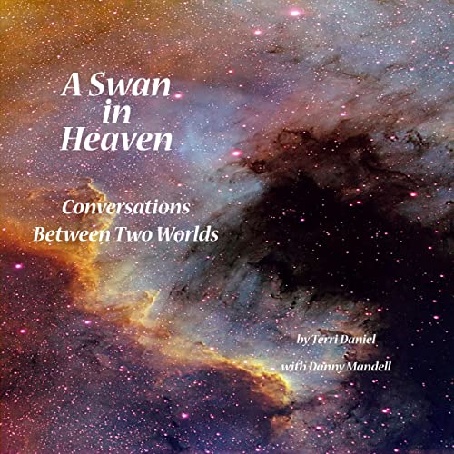 Amazon.com: A Swan in Heaven: Conversations Between Two Worlds (Audible ...