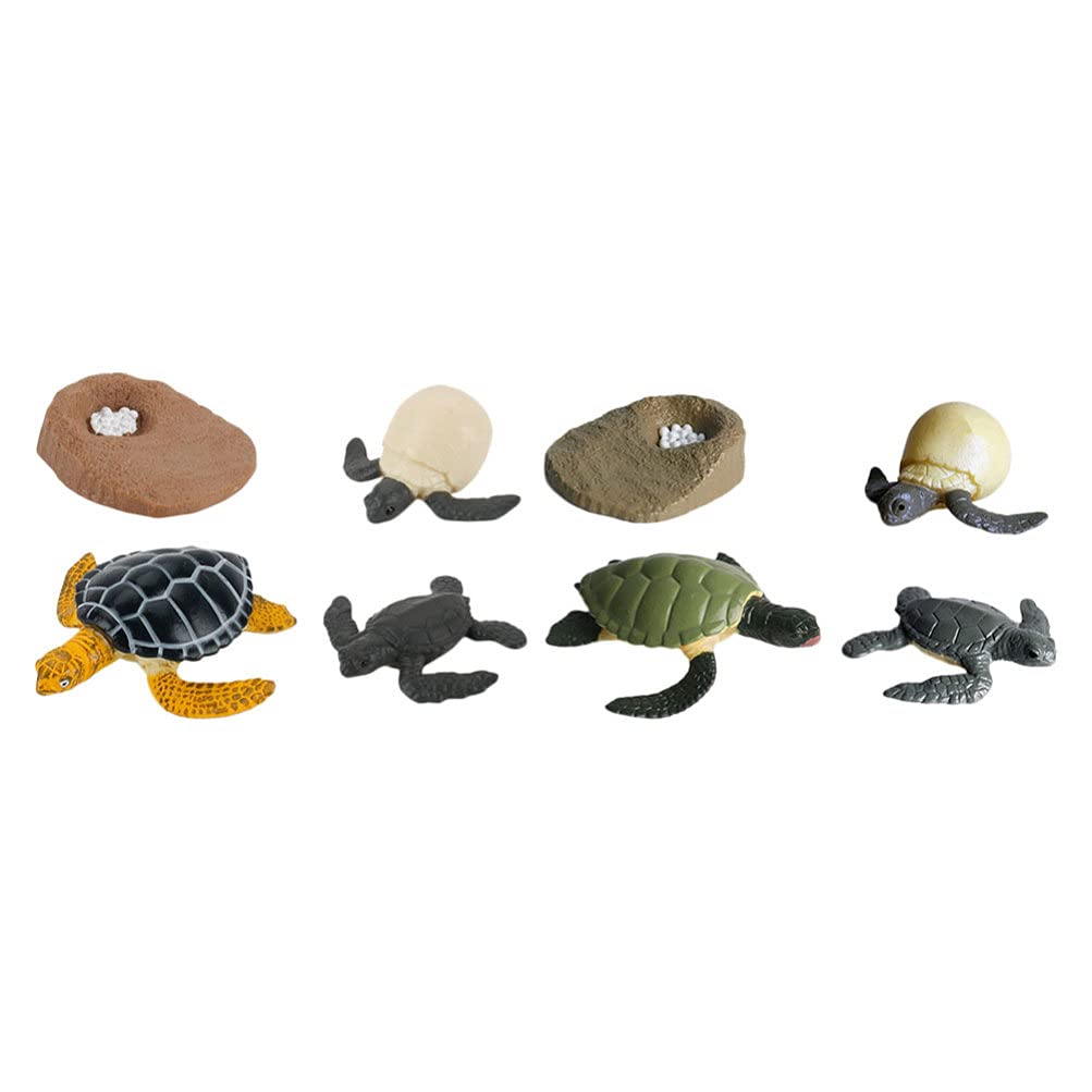 Buy TOPBATHY 2 Sets/8pcs Sea Turtle Life Cycle Figurine Tortoise Wild ...