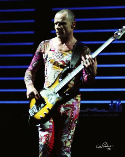 Backstage Gallery Presents SG-3026-033 Red Hot Chili Peppers by Steve ...