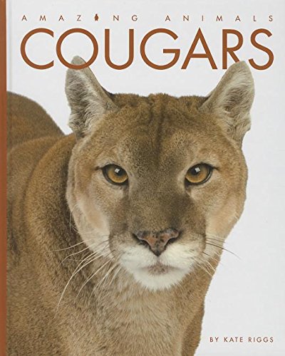 Cougars (Amazing Animals (Creative Education Hardcover)): Riggs, Kate: 9781608183470: Amazon.com ...