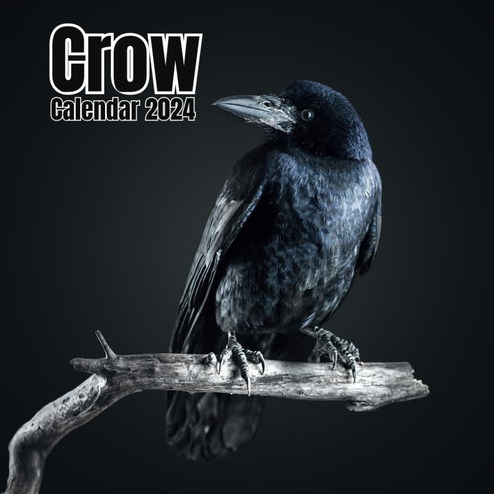 Crow Calendar 2024: September 2023 to December 2024 Monthly Weekly ...