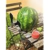 Amazon.com: Watermelon Keg Tap Kit Dispenser for Cocktails - GREAT FOR ...