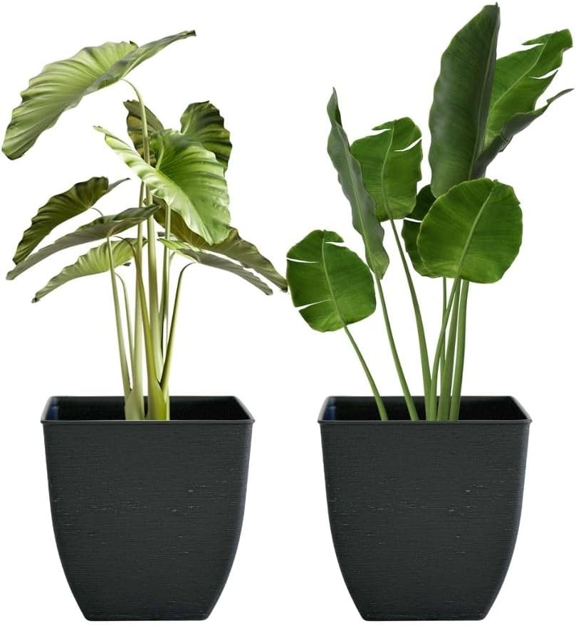 Amazon.com: Matri Owen - Plant Pots with Drainage - 8 inch Plastic ...