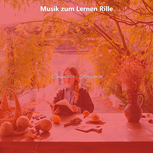 Seelenvolle - Ambiente de Musik zum Lernen Rille en Amazon Music Unlimited