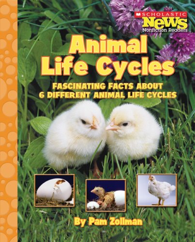 Animal Life Cycles: Fascinating Facts About 6 Different Animal Life ...