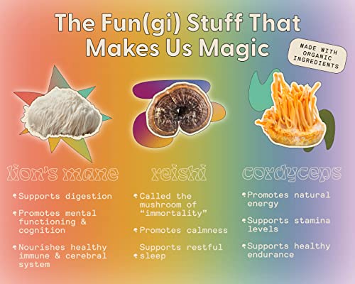 SuperMush Daily SuppleMint | Mushroom Mint Supplement | Mints for ...