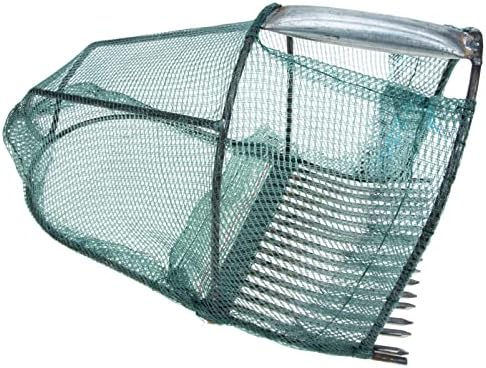 Healeved Blueberries Picker Blueberry Picker Blueberry Picker Tool ...