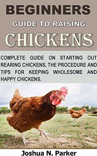 BEGINNERS GUIDE TO RAISING CHICKENS: A complete guide to starting out ...