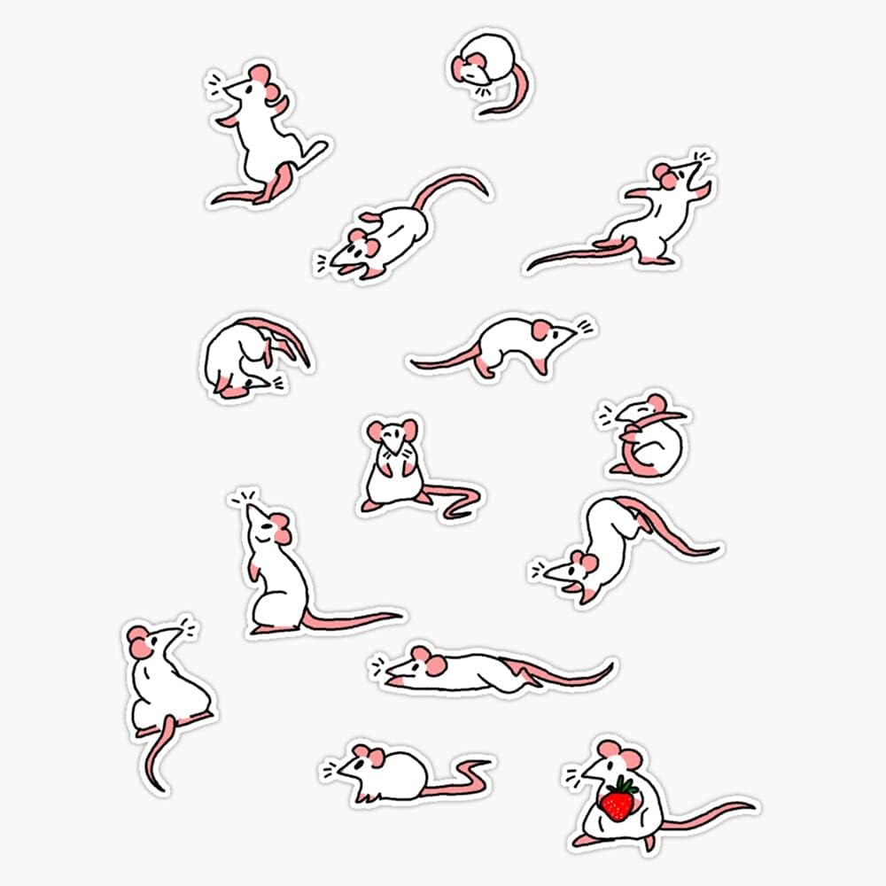 Amazon.com: MAGNET Rat Party Magnet Bumper Sticker Car Magnet Flexible ...