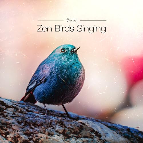 Zen Birds Singing von The Birds bei Amazon Music - Amazon.de
