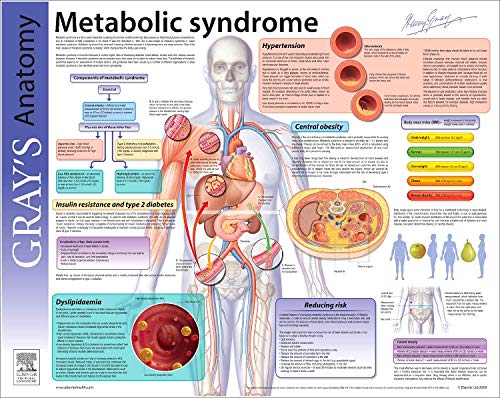Metabolic Syndrome: Gray's Anatomy Poster Series: 9780443067761 ...
