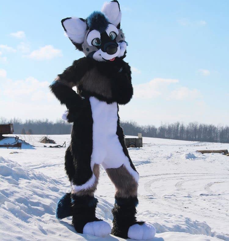 Amazon.com: New Black Labrador Husky Fursuit Fullsuit Teen Costumes ...