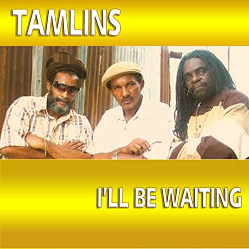 Amazon.com: I'll Be Waiting : The Tamlins: Digital Music