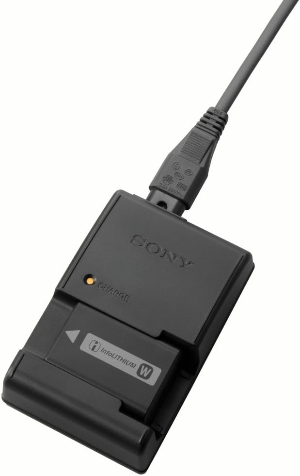 Amazon.com : Sony BC-VW1 Quick Charger for Sony W Series Batteries ...