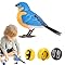 Amazon.com: Electric Singing and Chirping Bird Toy, Interactive Bird ...