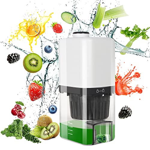 Mini Slow Juicer Machine Personal Electric Blender Small Cold Press ...
