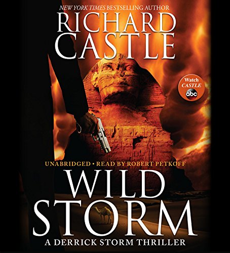 Amazon.com: Wild Storm: A Derrick Storm Thriller (A Derrick Storm ...