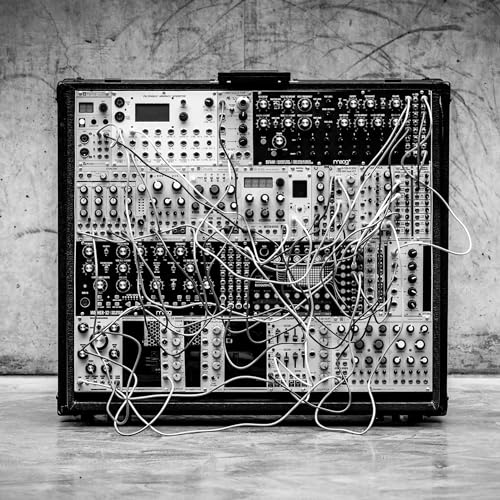 Amazon.co.jp: Modular Motion : Patrick Zelinski: デジタルミュージック
