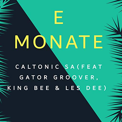 Play E Monate by Caltonic SA feat. Les Dee, Gator Groover & King Bee on ...