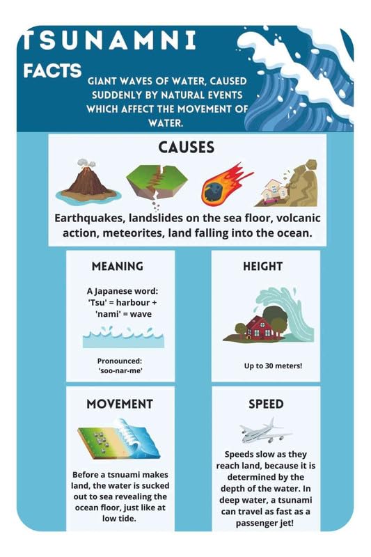 Yellow Alley Learning Poster On Tsunami Facts|Learning Poster For Study ...