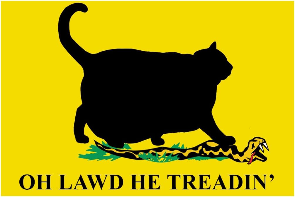 Amazon.com: Chonky Cat, Oh Lawd He Treadin', Funny Stickers for Laptop & Water Bottle, Don't ...