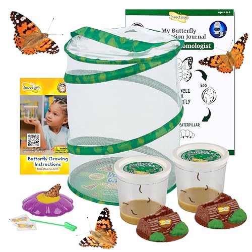 Amazon Best Sellers: Best Educational Science Kits